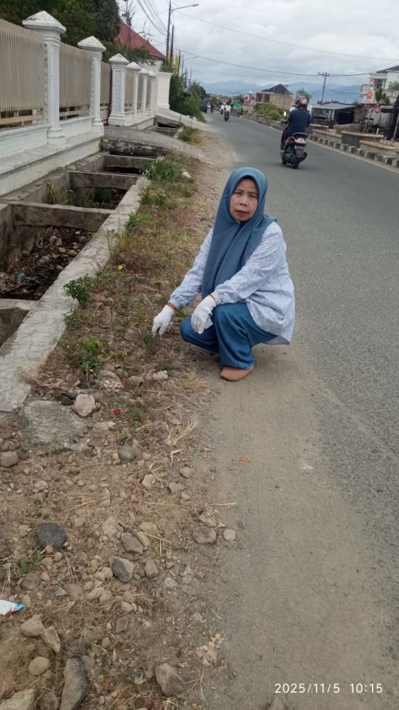 BURUH HARIAN LEPAS/BURUH TAMAN